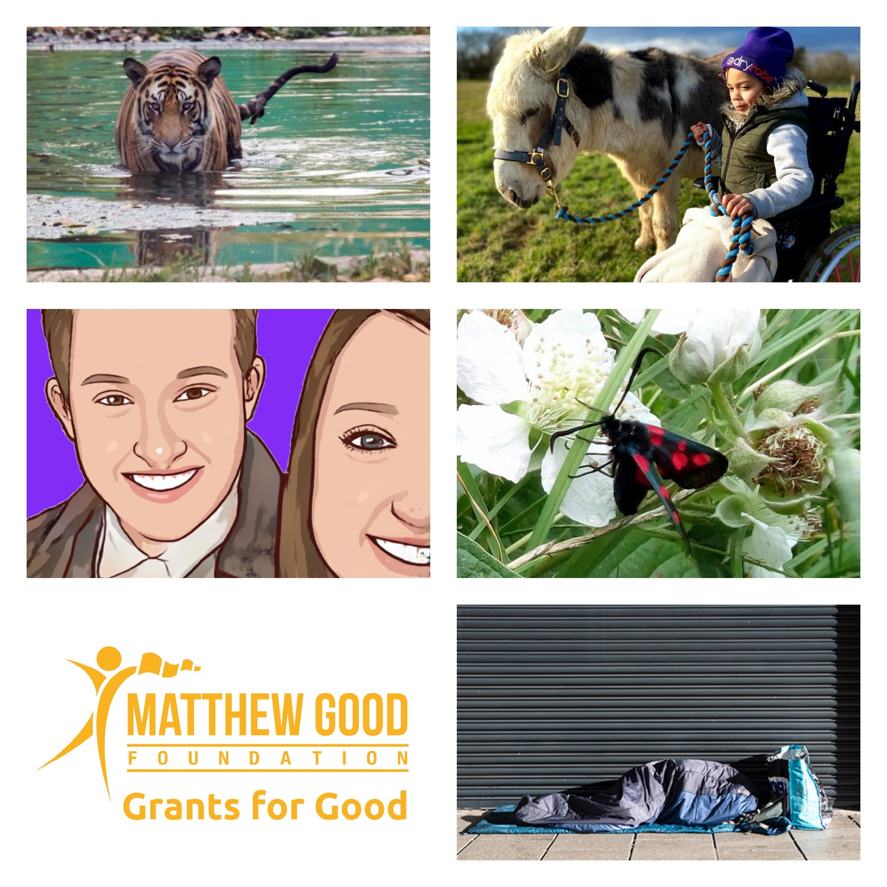 Matthew Good Foundation reveals second round of Grants for Good ...